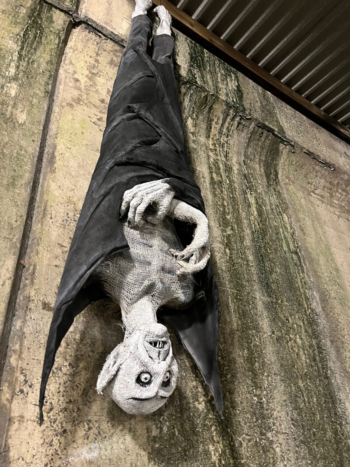 Scarecrow Stroll Voting - Downtown Cranford